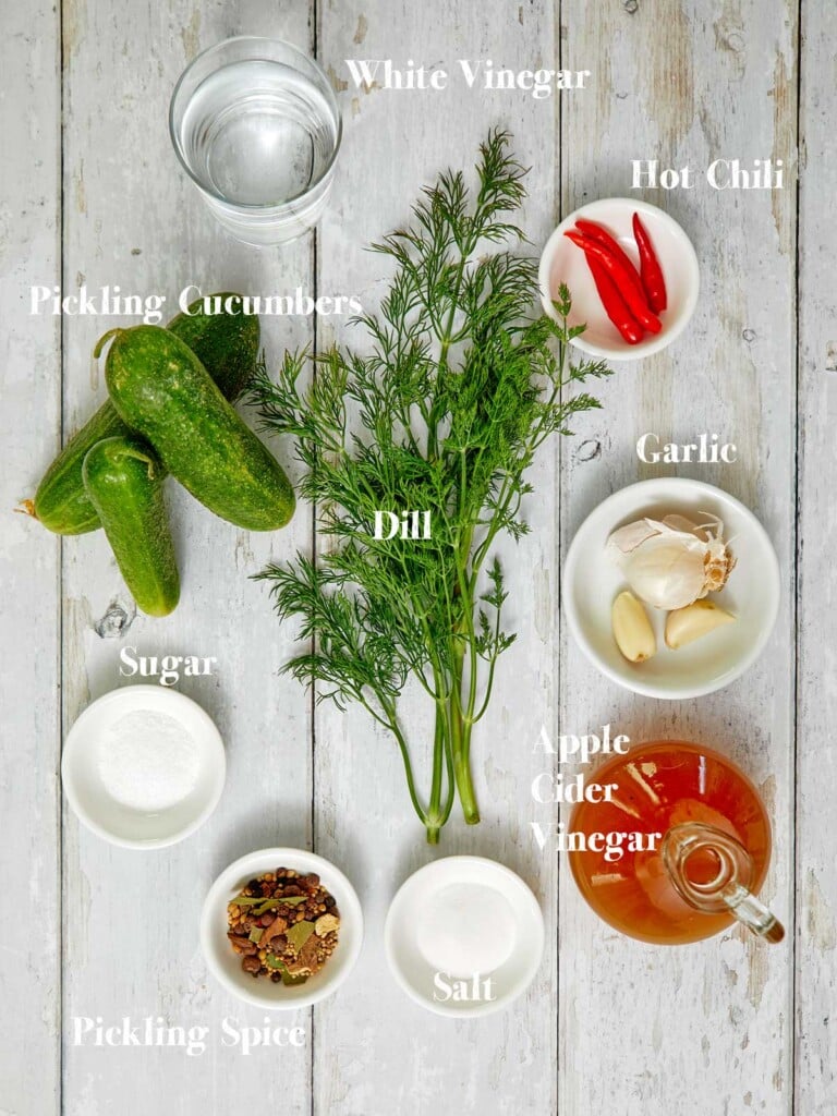 Spicy Refrigerator Dill Pickles ~ Small Batch - Oh, That's Good