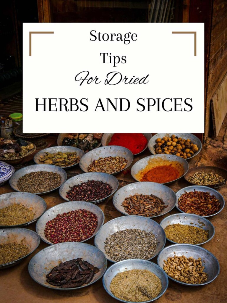 Storage Tips For Dried Herbs and Spices - Oh, That's Good